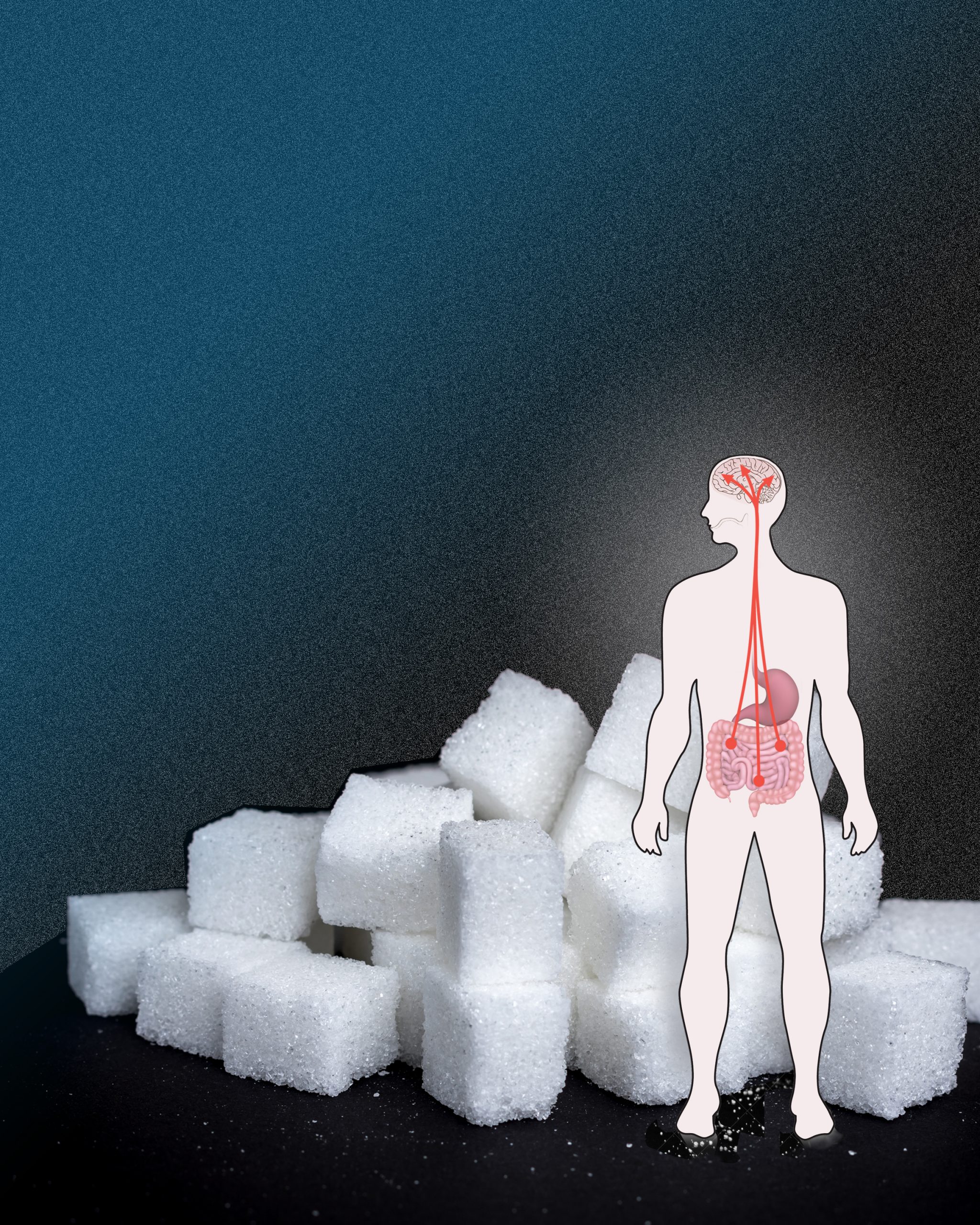 Publications | Hwei-Ee Tan Lab